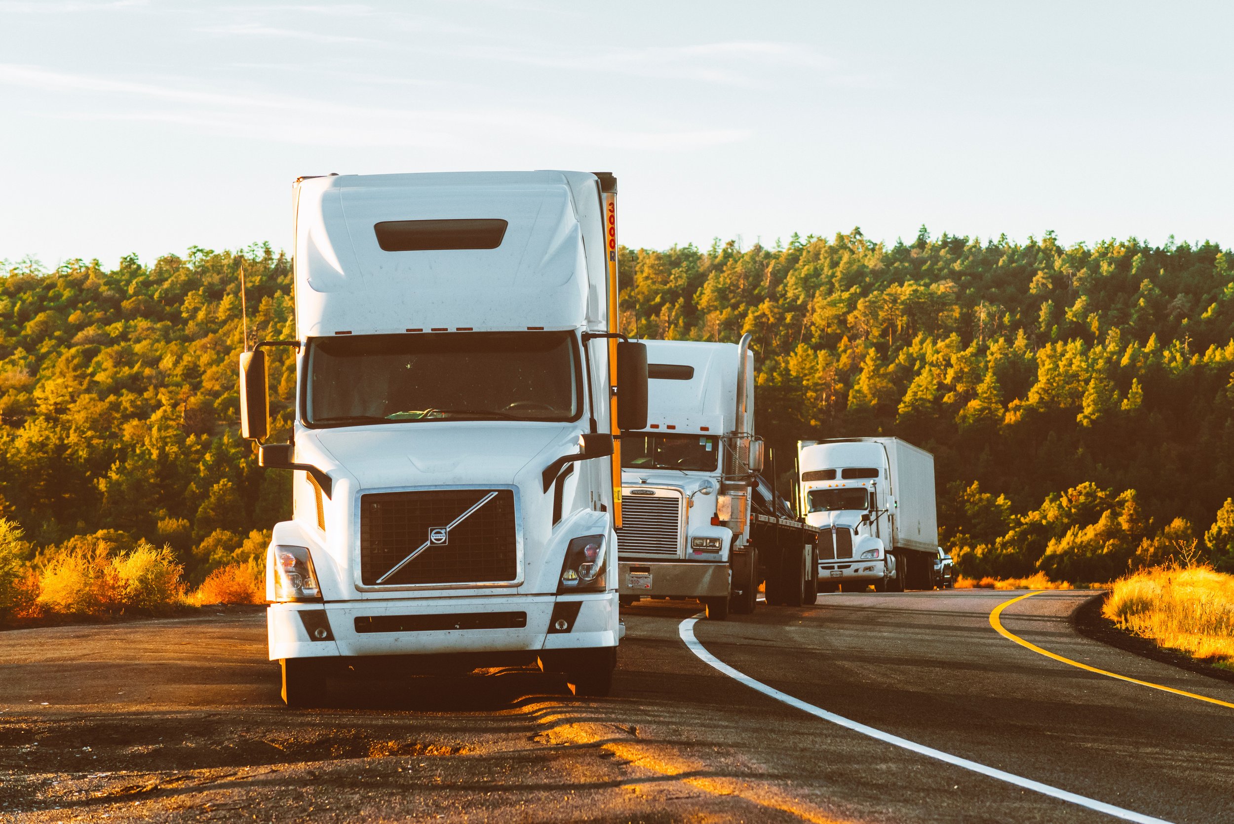 Dry Van vs. Reefer, Flatbed, and Box Truck: Which One Should You Choose?
