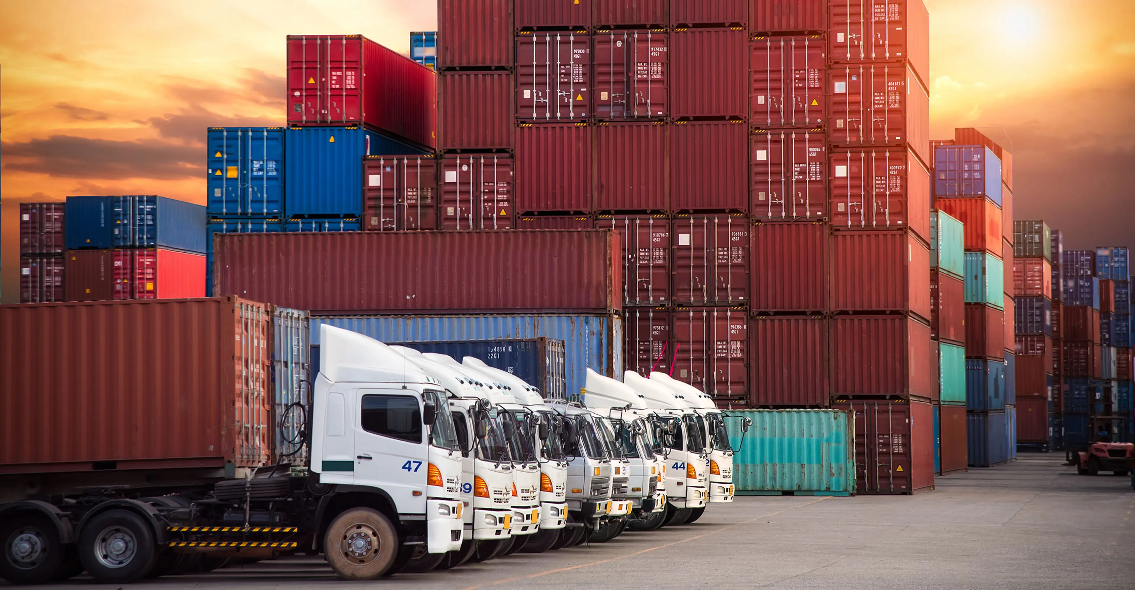 Comprehensive Guide to International Container Drayage: Key Stages and Tips